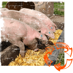 Alleseters en restwerkers - Varkens Tegen Verspilling